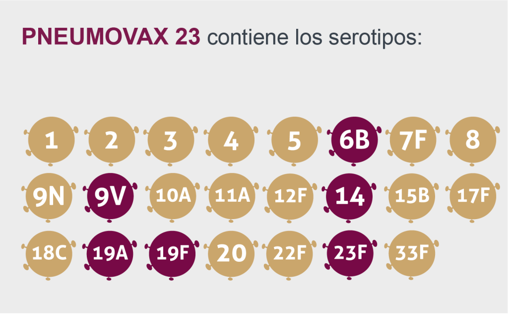 ¡Vacune contra neumococo! - MSD Conecta Ecuador